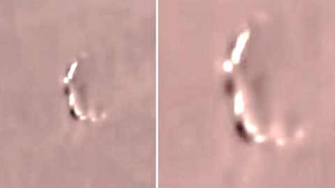 Scientists Have Just Detected Something Bigger Than The