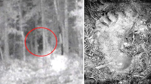 Scientists Make An Incredible Discovery After Finding This