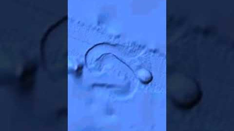 This Huge Miles Long Object Was Seen Moving On The Ocean