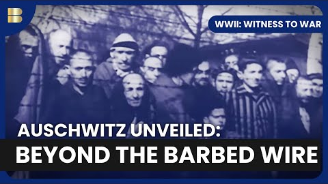 Auschwitz Horror Revealed - WWII: Witness to War - S01